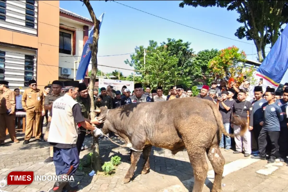Tips Cegah Infeksi Kulit Saat Menyembelih Hewan Kurban Idul Adha ...
