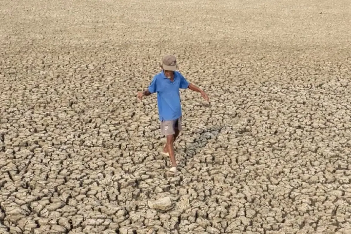 Dunia Musti Bersiap, Fenomena El Nino Akan Datang Kembali - TIMES Indonesia